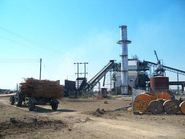 Pictures: The Green Fuel Chisumbanje site tour - Techzim