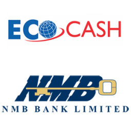 Econet completes EcoCash mobile money integration with NMB Bank - Techzim