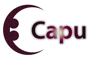 Zim startup launches mobile money management desktop app, Capu - Techzim
