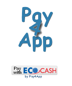 Pay4App looking to improve on 2013 achievements - Techzim
