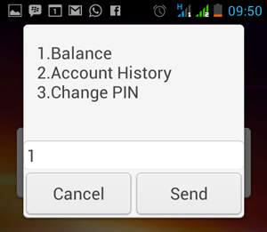 Telecash improves on EcoCash menus. Here are some screenshots, Telecel