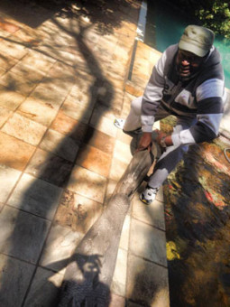 James Makamba challenges Strive Masiyiwa - Techzim