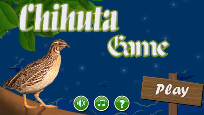 Zimbabwean developer jumps onto national quail craze with chihuta video ...