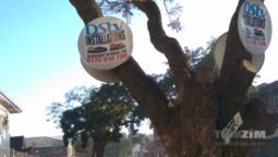 It's not just Zimbabwe, MultiChoice is also struggling with illegal ...