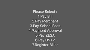 EcoCash BUY ZESA feature now avalaible, buy your prepaid electricity in ...