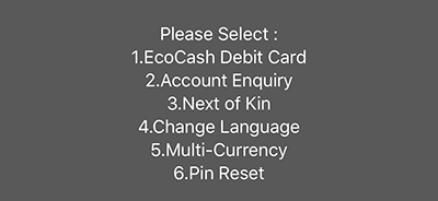 How to enable EcoCash Rand Account as a normal customer, merchant, or ...
