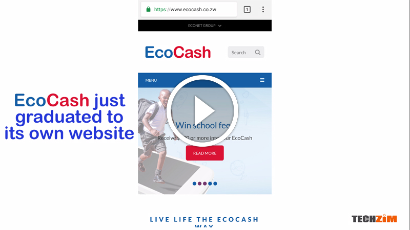 EcoCash has its own website now promising more utility - Techzim