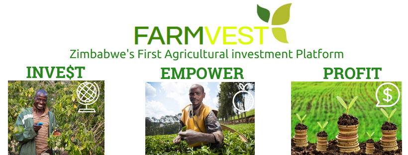 Farmvest: An Agriculture Investment Platform That Will Help Zim Farmers ...