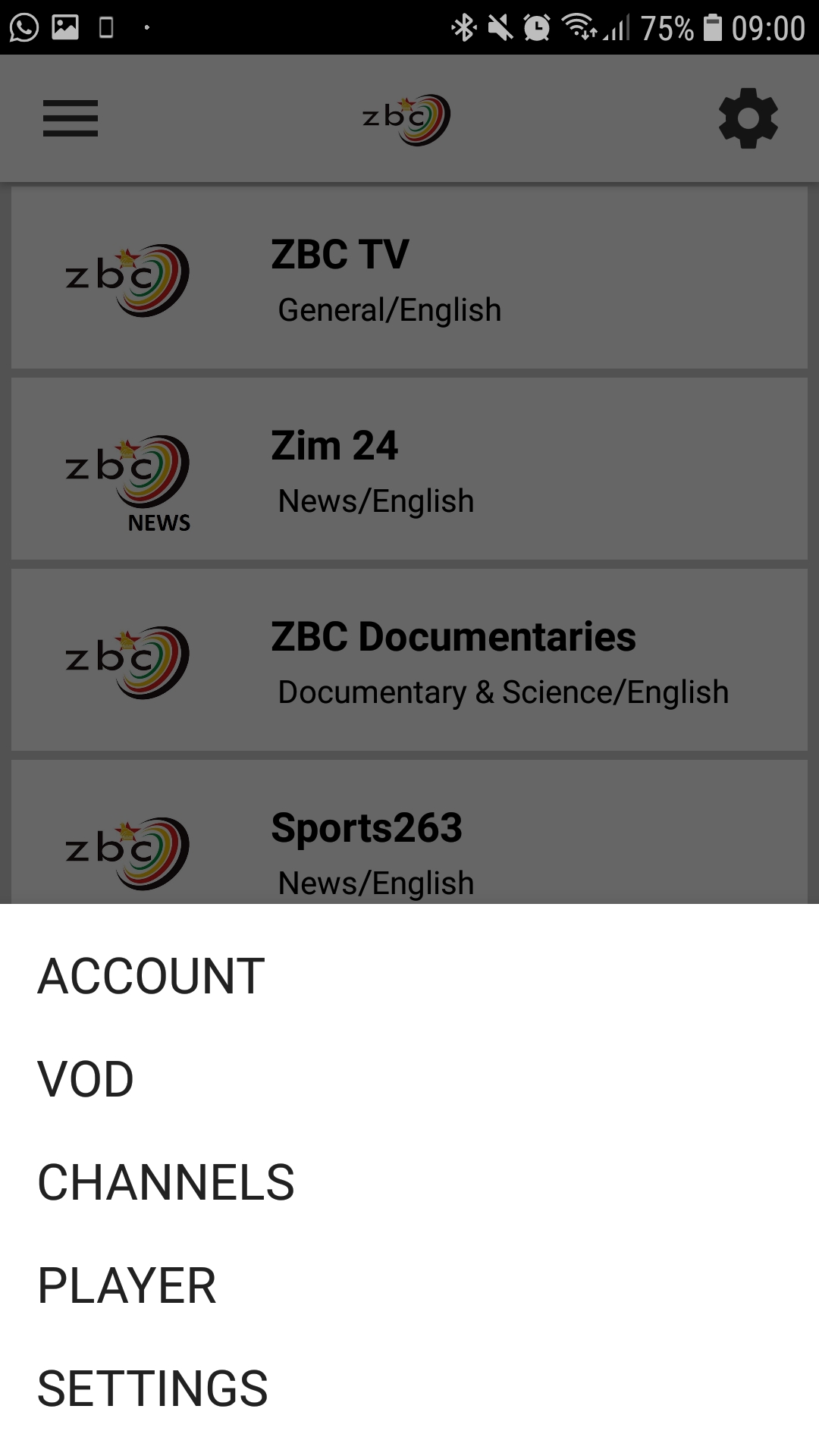 Is ZBC On The Verge of Introducing 4 New Channels? - Techzim