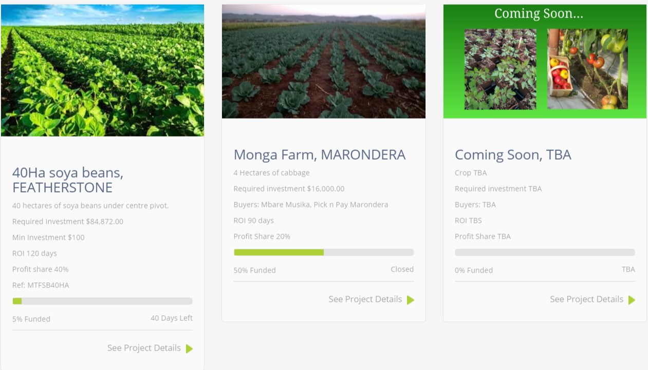 YouFarm is A Great Platform To Invest In Agriculture From The Comfort ...