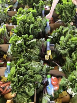 Meet Fresh In A Box, A Start-up That's Winning The Hearts Of Many With ...