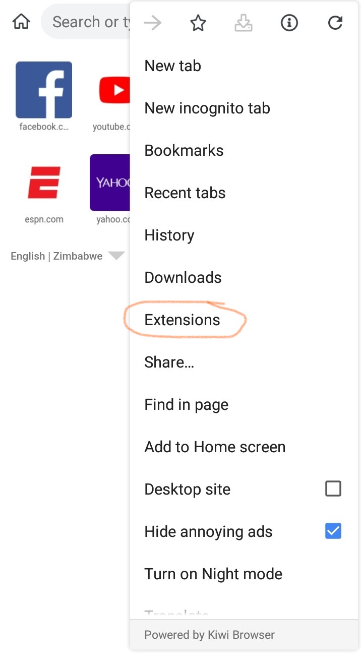 How to Install Google Chrome Extensions/Plug-Ins On Your Android Phone ...