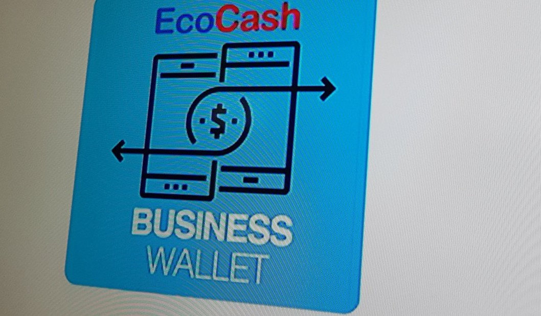 Instead Of Using The USSD To Access The EcoCash Business Wallet, Use ...