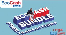 EcoCash Announces New Bundles Allowing "Free Transactions". You Have To ...