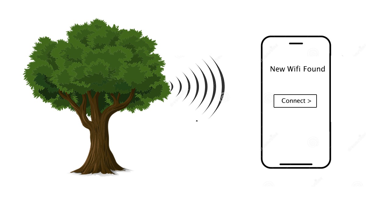 Zim Entrepreneur Invests In Tech That Will Convert Trees Into WiFi Hubs ...