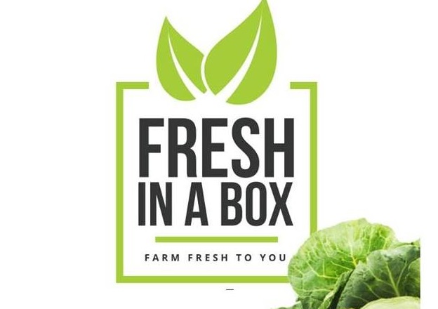 Fresh In A Box CEO Details Struggles Of Overnight Exponential Growth ... Fresh In A Box CEO Details Struggles Of Overnight Exponential Growth ...