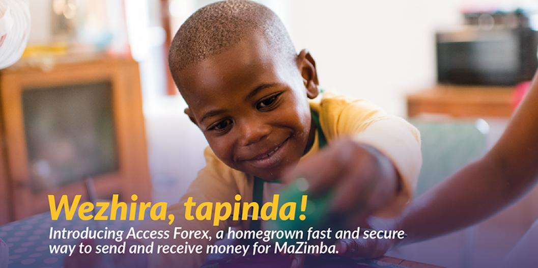 Access Forex, a home-grown, fast and secure way to send money home - Techzim