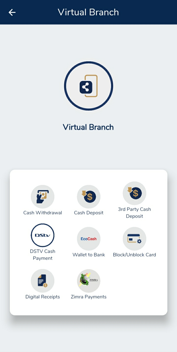NMB launches 5 new products via its Connect app - Techzim