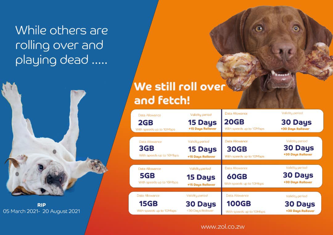 Telone Vs Zol Zol Ads Troll Telone Over Suspension Of Rollover Data