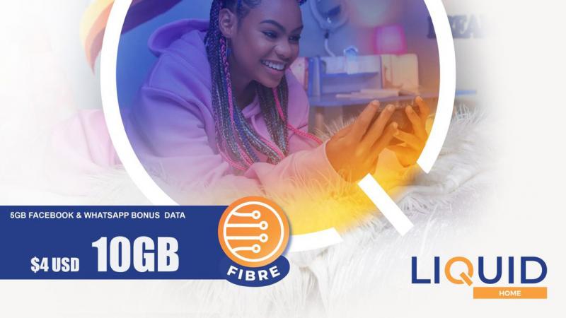 Liquid Home's LIT USD bundles. Are they any good? - Techzim