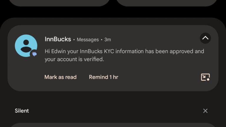 InnBucks now offering remittances from South Africa - Techzim