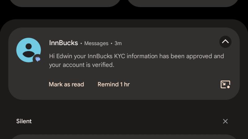 InnBucks now offering remittances from South Africa - Techzim