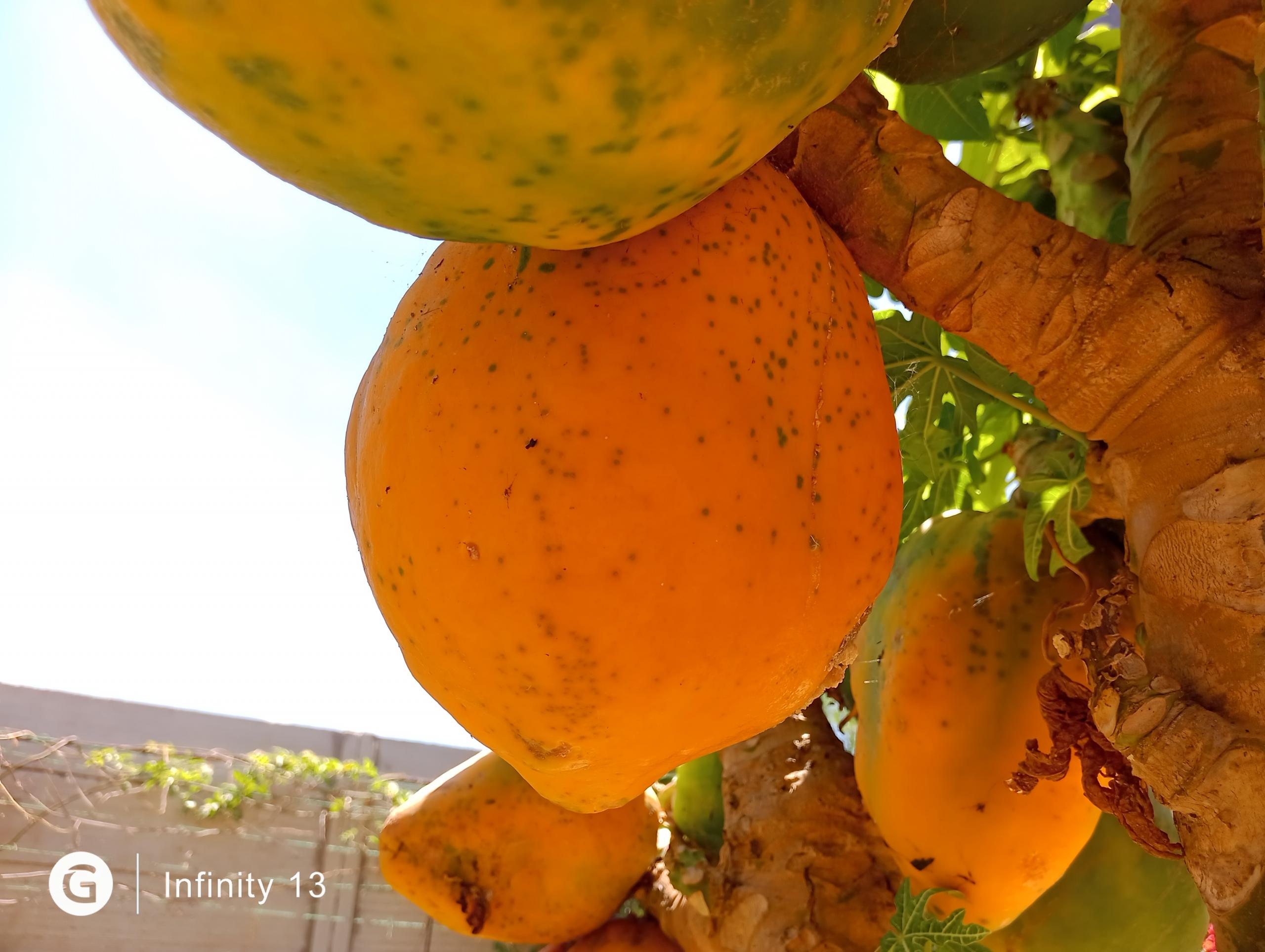 GTeL Infinity 13 review. Looks posh but is that enough to sell? - Techzim