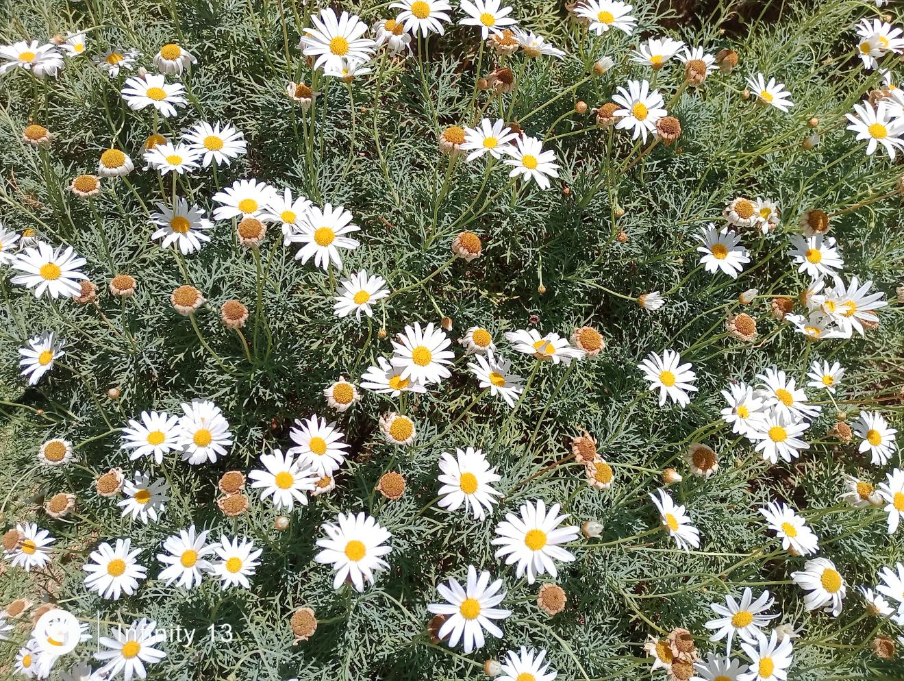 GTeL Infinity 13 review. Looks posh but is that enough to sell? - Techzim