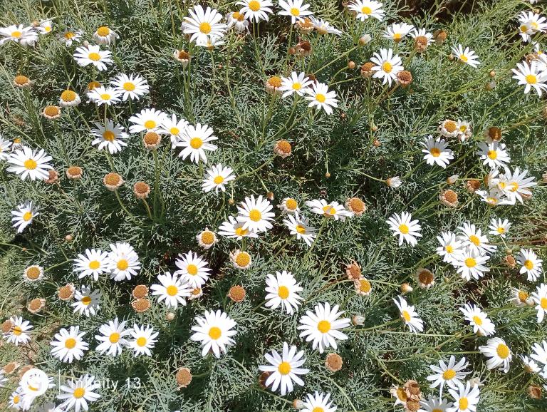 GTeL Infinity 13 review. Looks posh but is that enough to sell? - Techzim