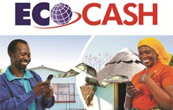 So how much does it cost to use EcoCash? - Techzim